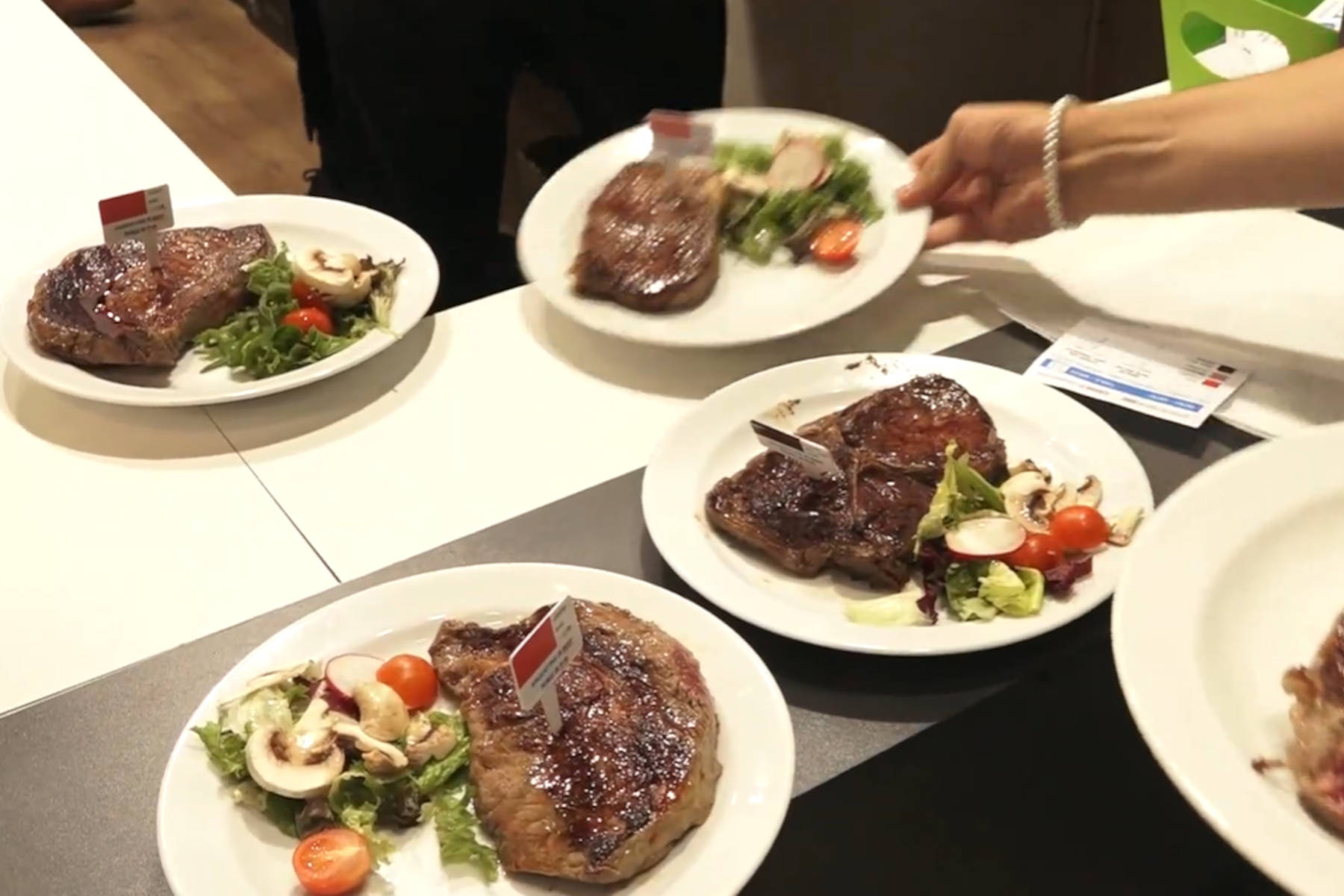 Argentina exporta su primera carne libre de deforestación a Europa ...